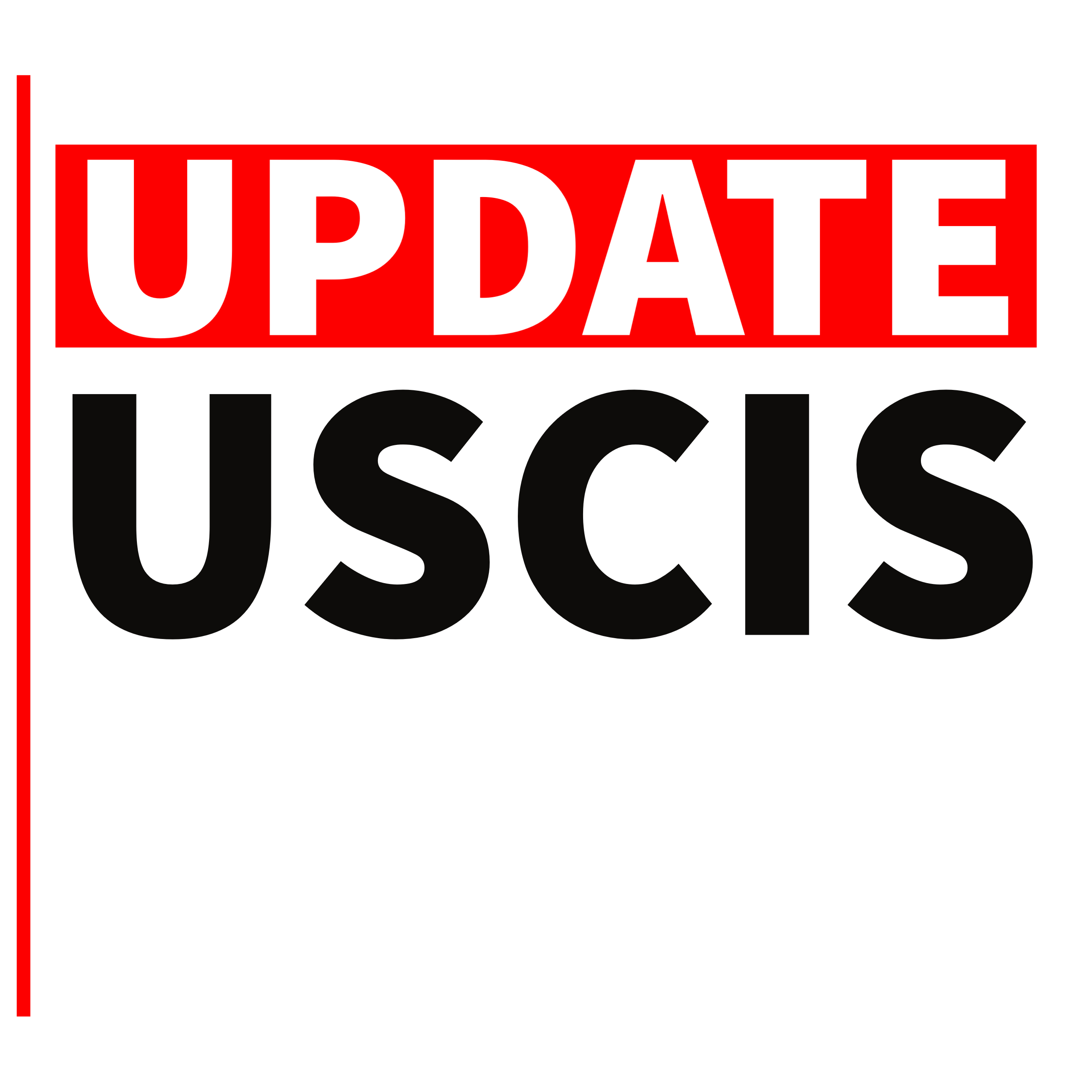 Asylum Interview Interpreter Requirements Updated NY VISA LAWYER